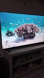 PHILIPS Android TV 50" 4K 50PUG7406/78, Google Assistant Built-in ...