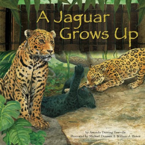 Jaguar Books for Children | Rainforest Unit Study