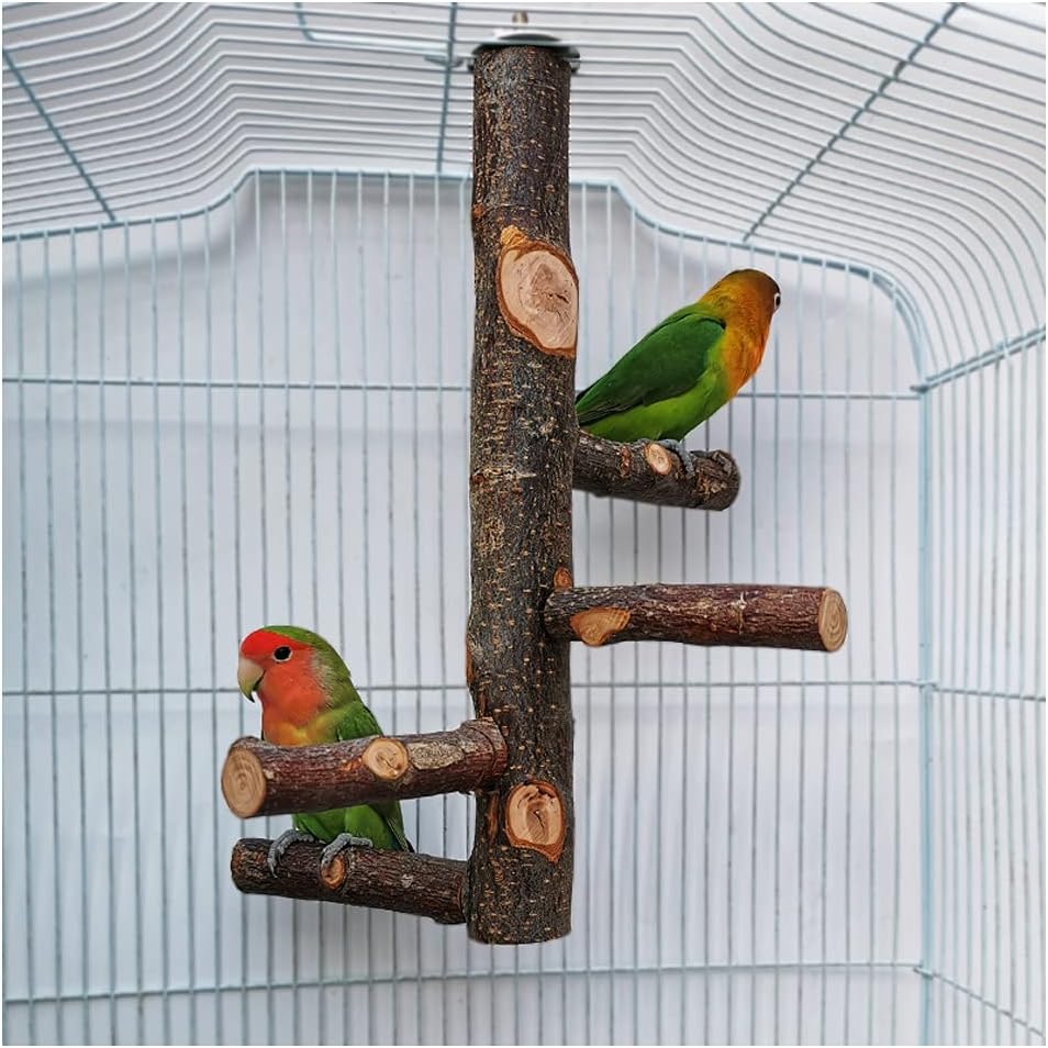 DuvinDD Parrot Cage Perch Stand Parakeet Toys Natural Wood Branch Perch ...