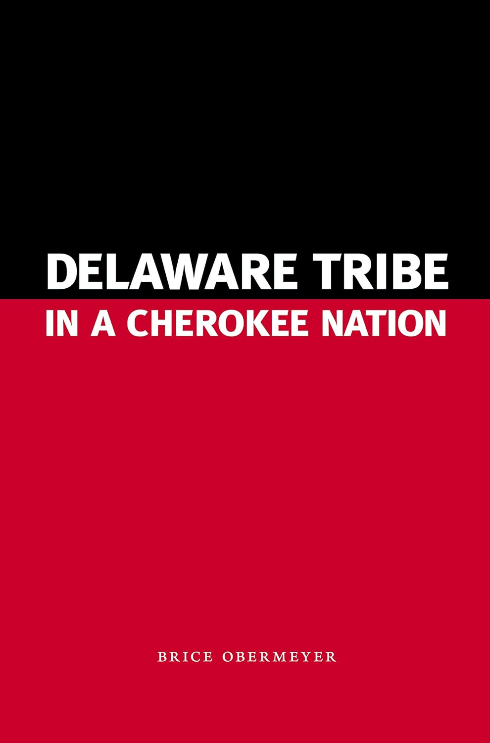 Delaware Tribe in a Cherokee Nation: Obermeyer, Brice: 9780803222953 ...