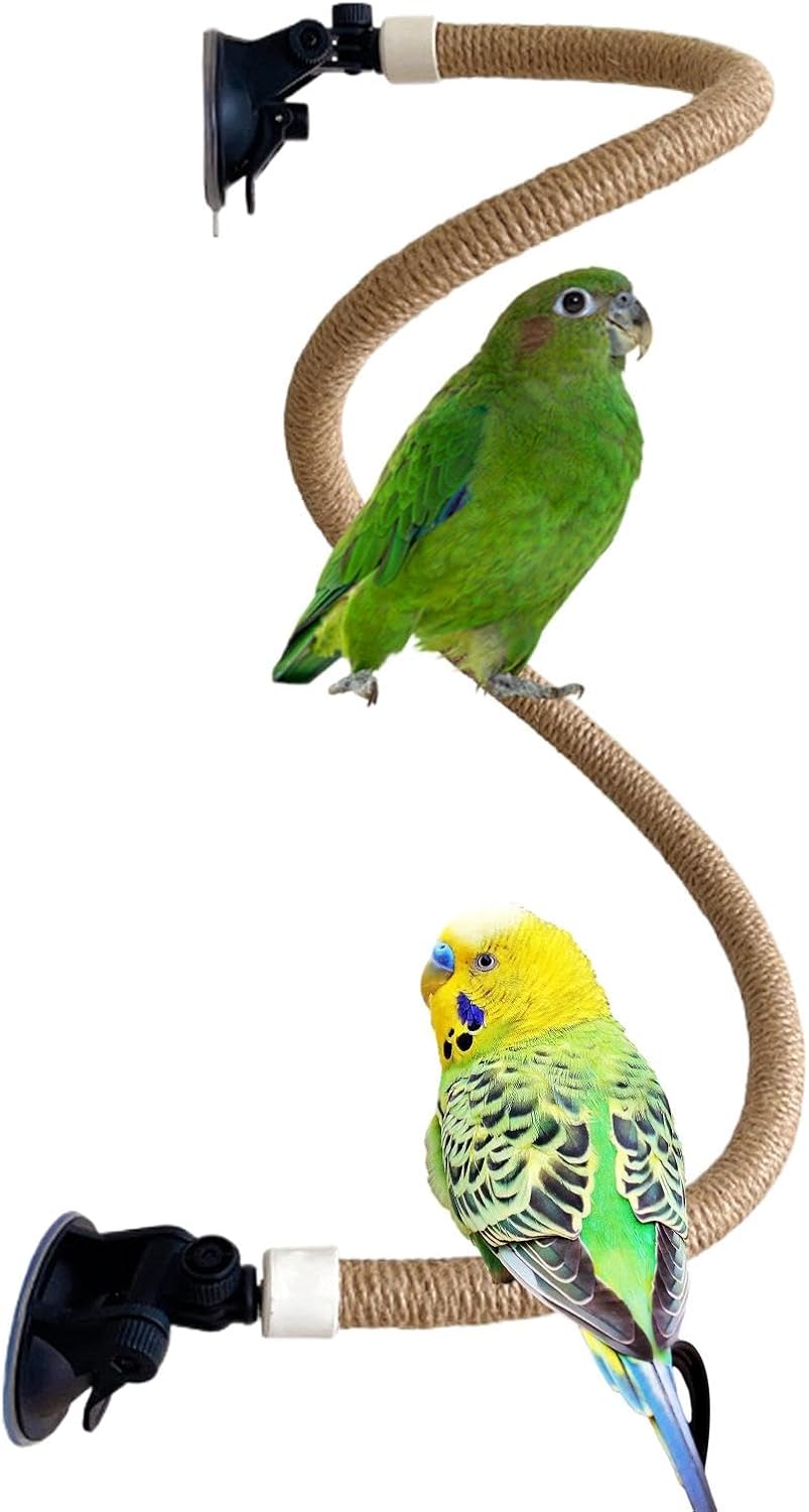 Bird Standing Perch - Adjustable Suction Cup Parakeet Perch ...