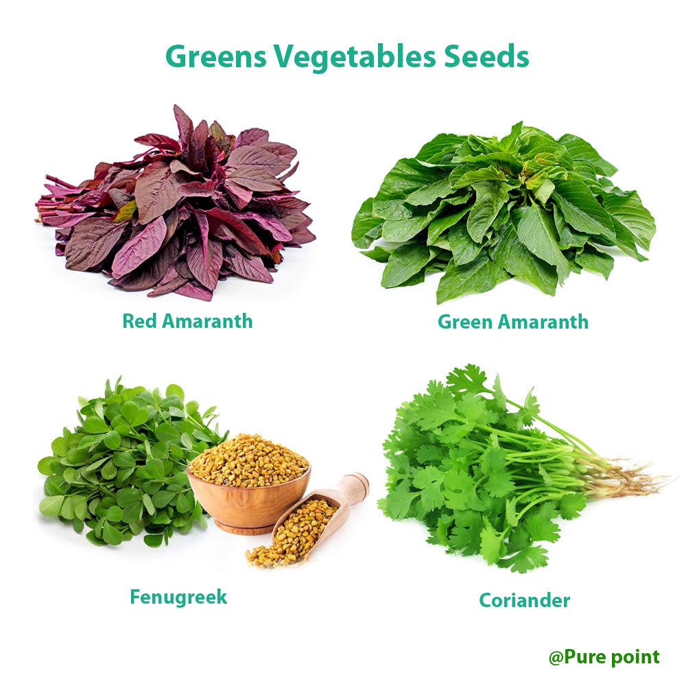 Red Green Vegetables