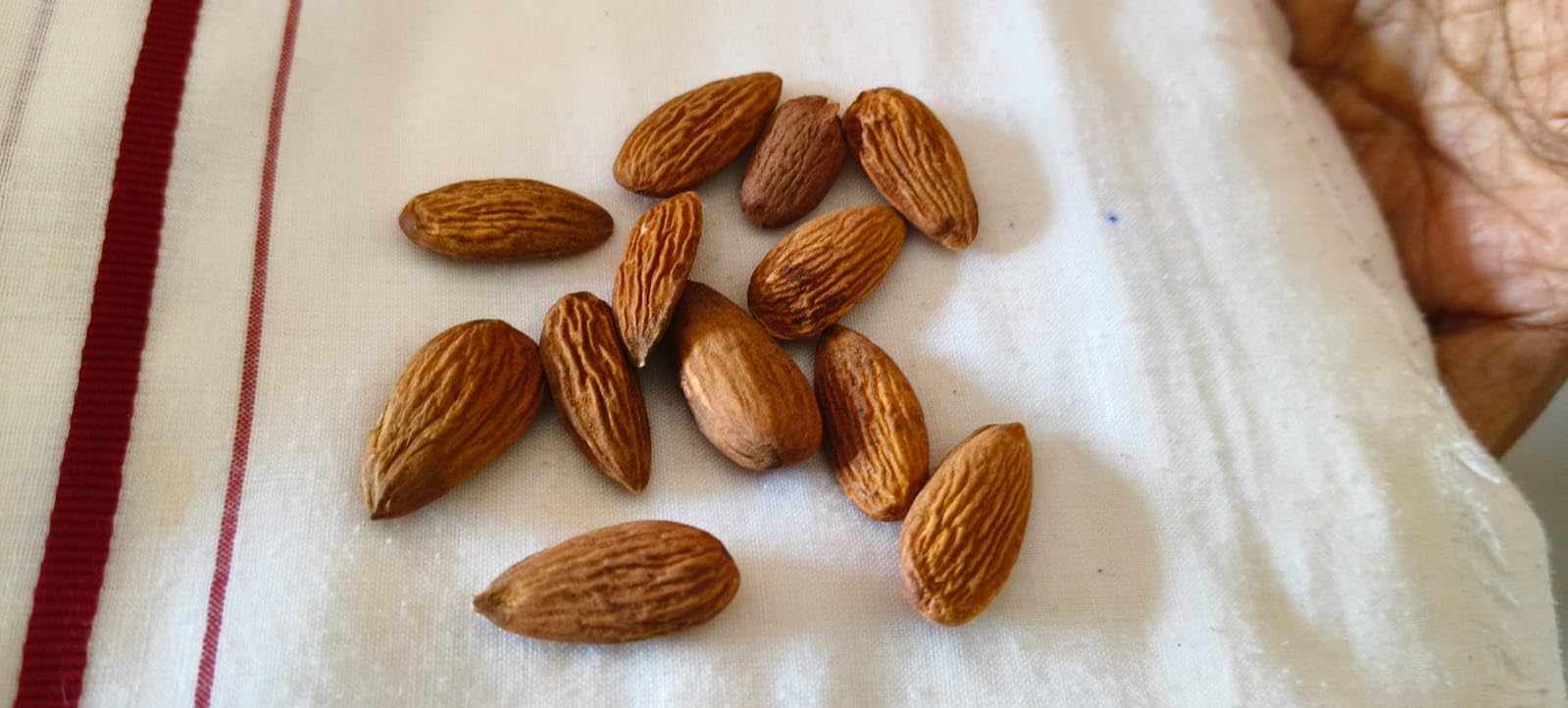 Happilo Natural Popular Californian Almonds 400g | Badam Giri, Healthy ...