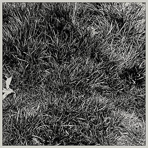 Écouter Isola (Alt. Version) par The Shivers feat. Habe, Max Jury ...