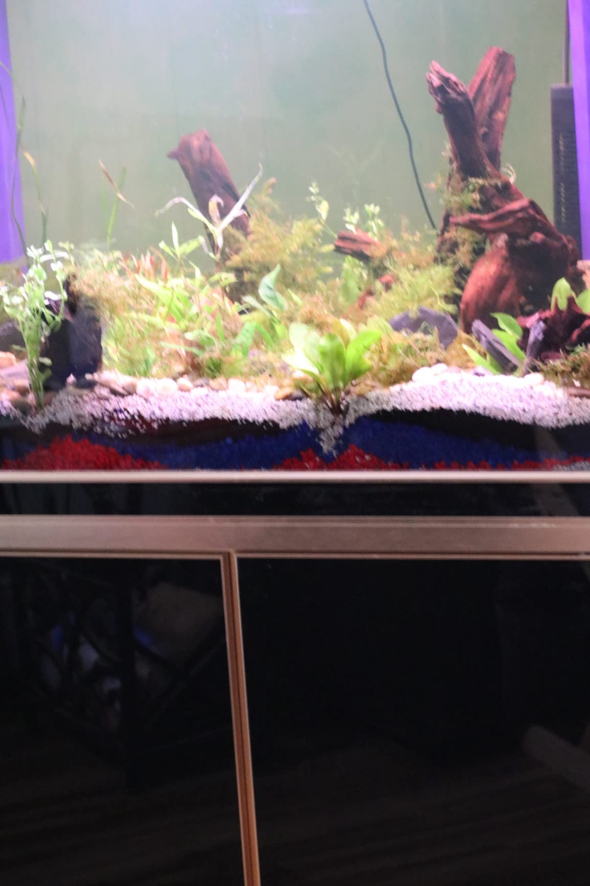 $106/mo - Finance 170 Gallon Aquarium Fish Tank LED Light Pump ...
