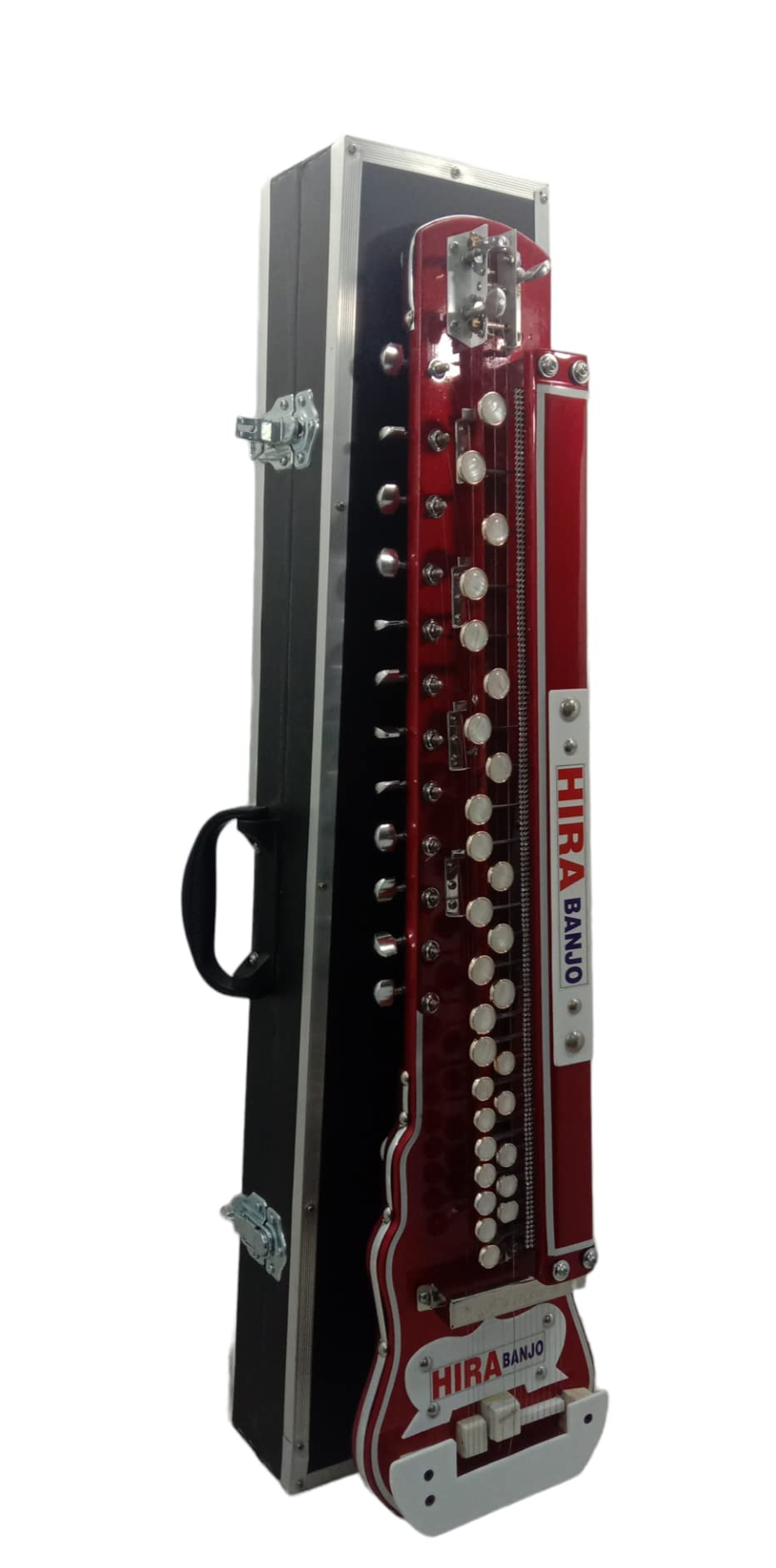 Bulbul Tarang Musical Instrument