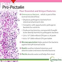 Amazon.com : Vetoquinol Pro-Pectalin Oral Paste for Dogs & Cats – 30cc ...