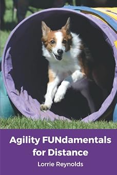 Agility FUNdamentals for Distance: Reynolds, Lorrie: 9798354254774 ...