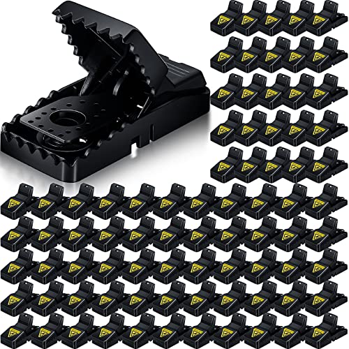 80 Pcs Mouse Trap Bulk House Outdoor Mice Trap Pack Rat Trap Effective ...