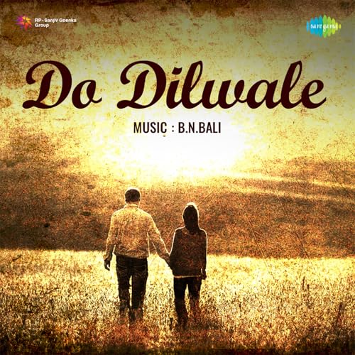 Amazon.co.jp: Do Dilwale (Original Motion Picture Soundtrack) : B. N ...