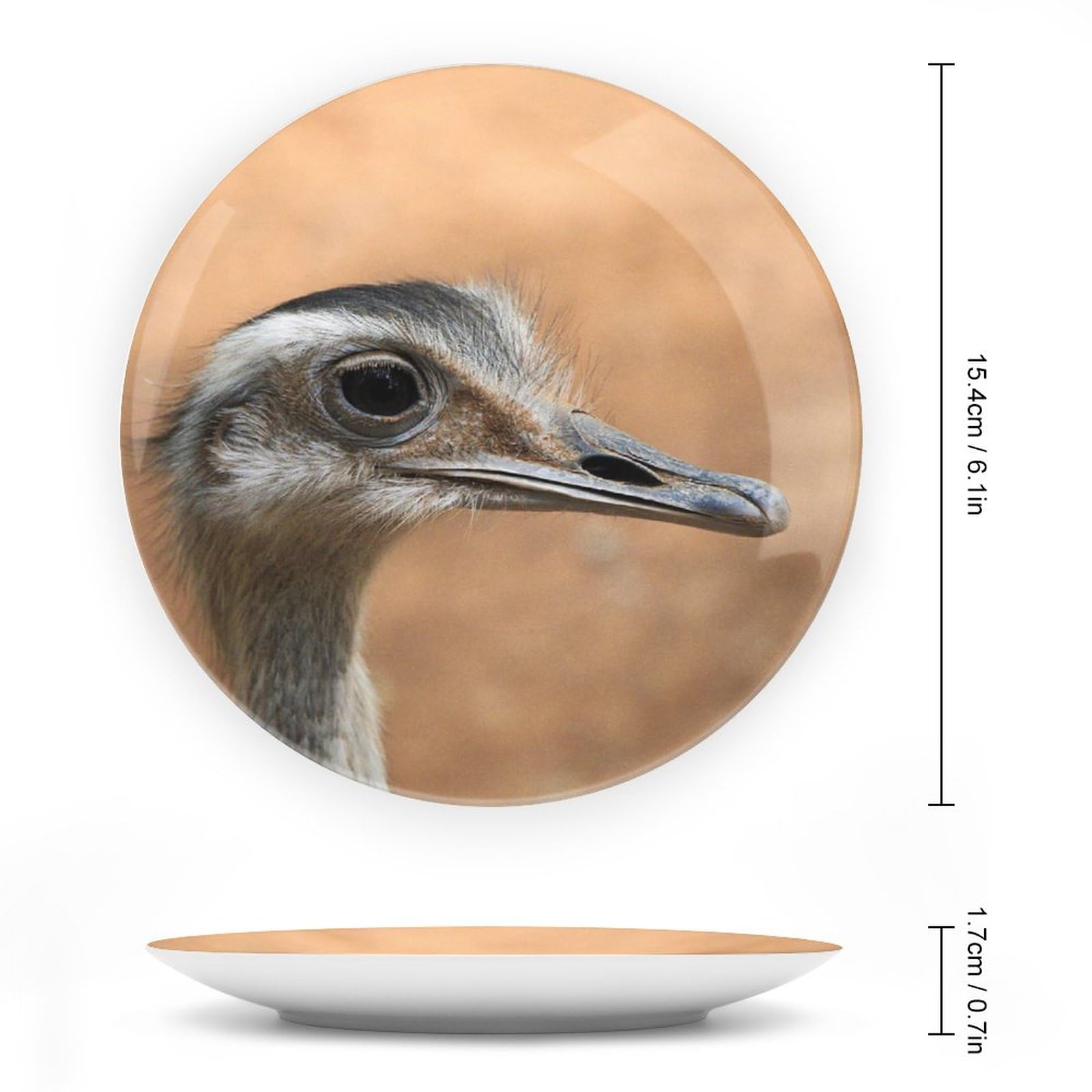 Ostrich Face Ostrich, Face, Bird, Africa, HD Wallpaper | Peakpx