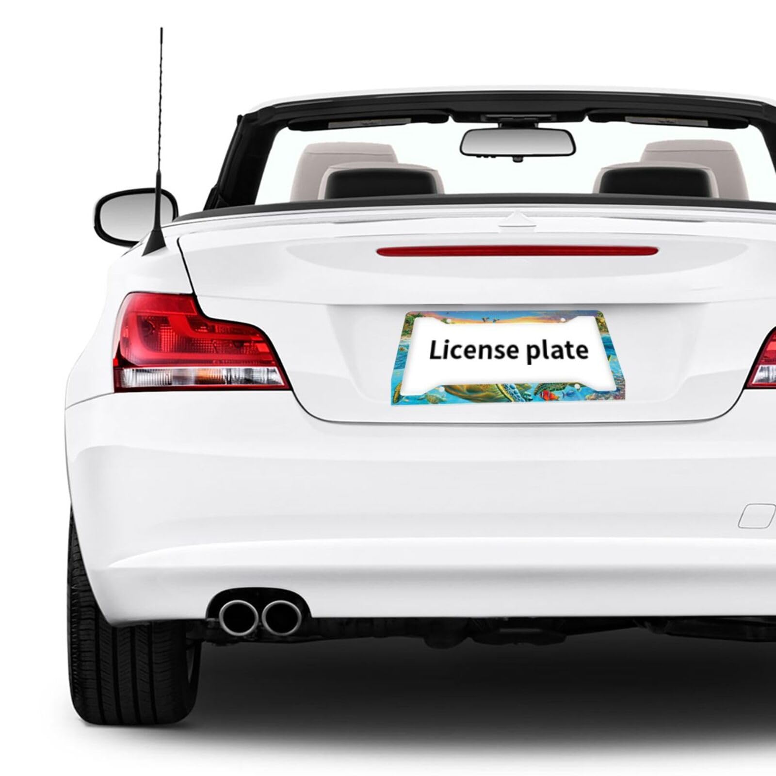 Cute License Plate Holder Turtle License Plate Frame - Cute Sea Animal ...