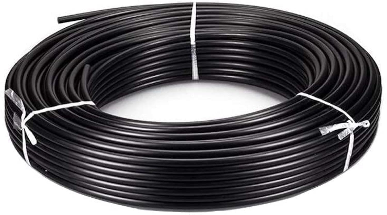 Shockgore Rabbit Crush #crush #bunny | TikTok