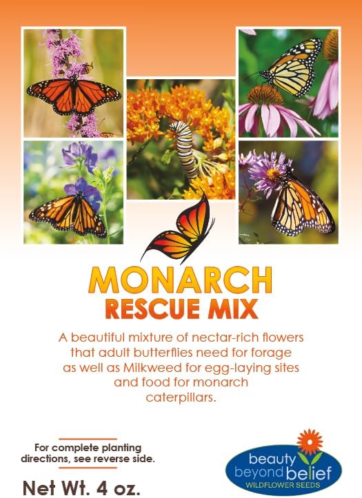 Amazon.com : Monarch Butterfly Garden Kit with Milkweed Seeds–Perennial ...