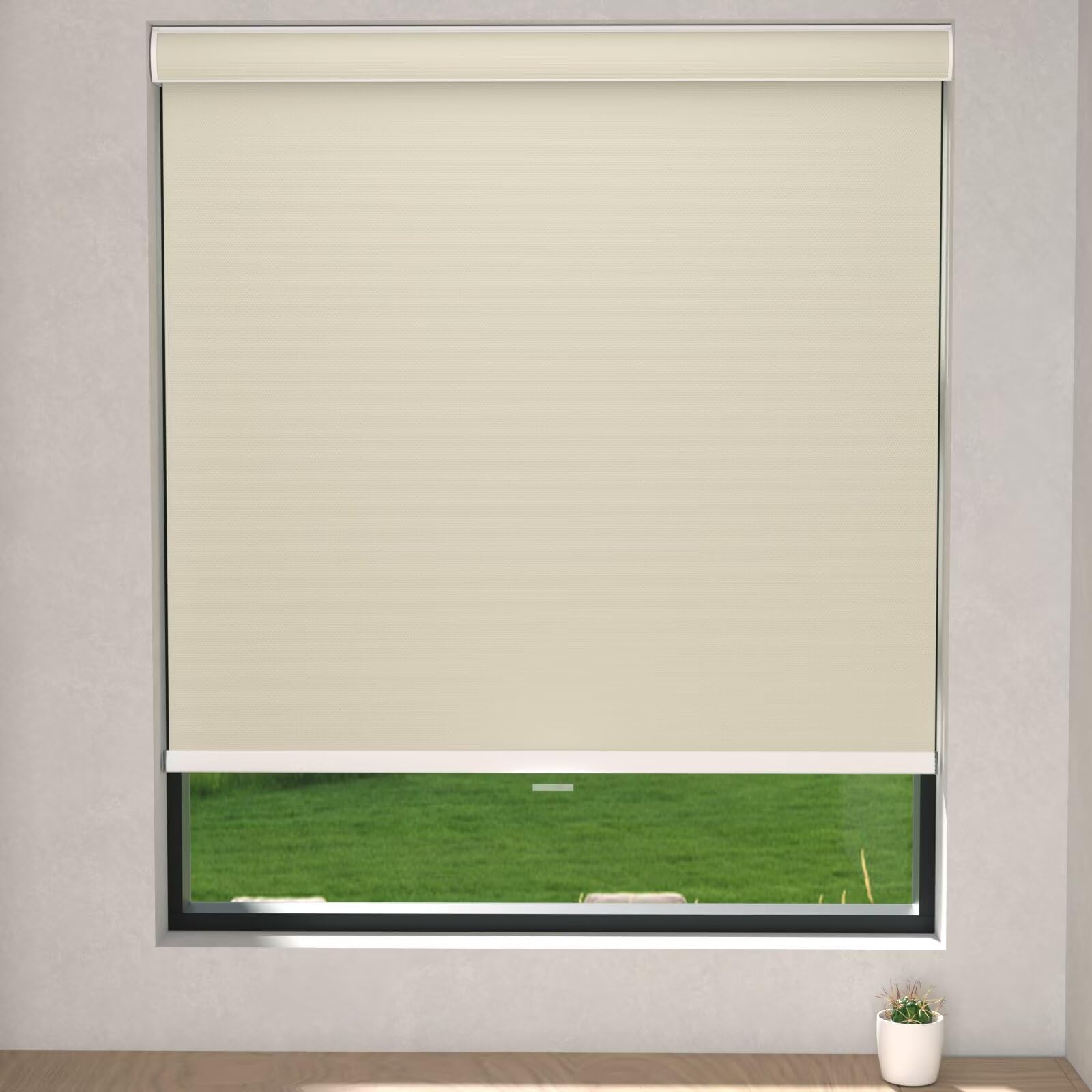Amazon.com: MYshade Roller Blinds,Blackout Roller Shades for Windows ...