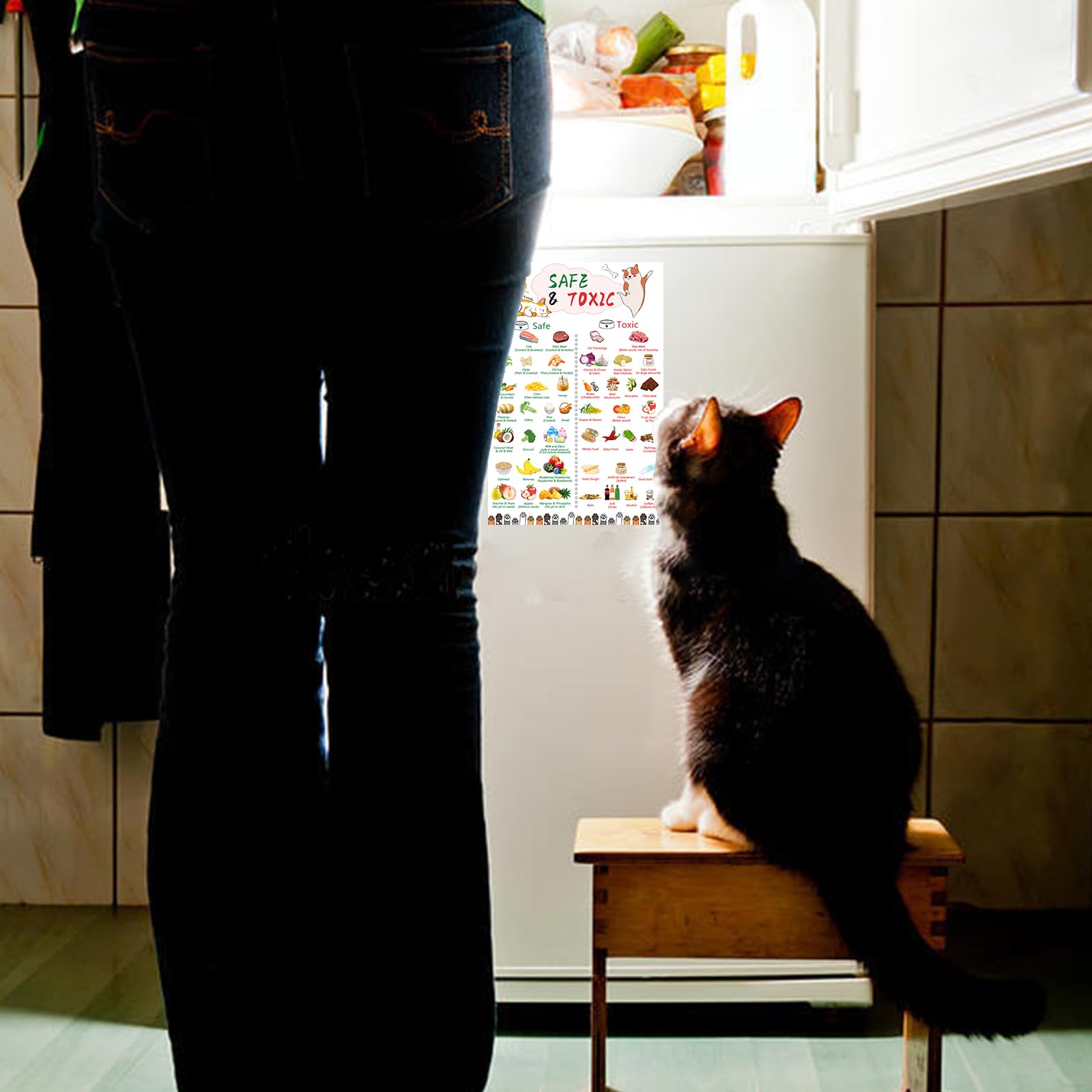 Snapklik.com : Magnetic Safe Foods Guide For Dogs And Cats,Dog Feeding ...