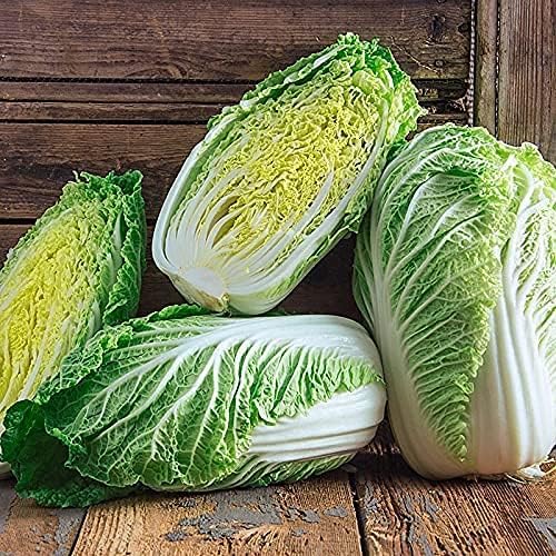 Amazon.com : 100+ Count Napa Michihili Heading Cabbage Seed, Heirloom ...