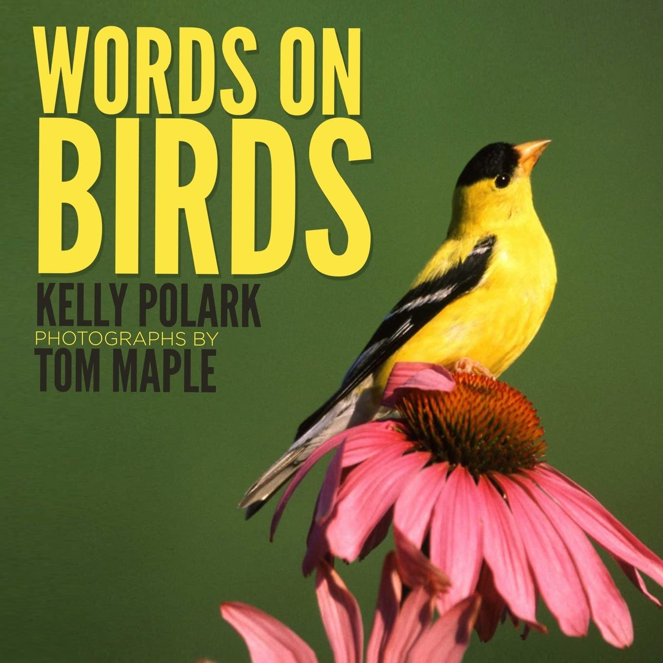 Words on Birds: Polark, Kelly, Maple, Tom: 9780988846241: Amazon.com: Books