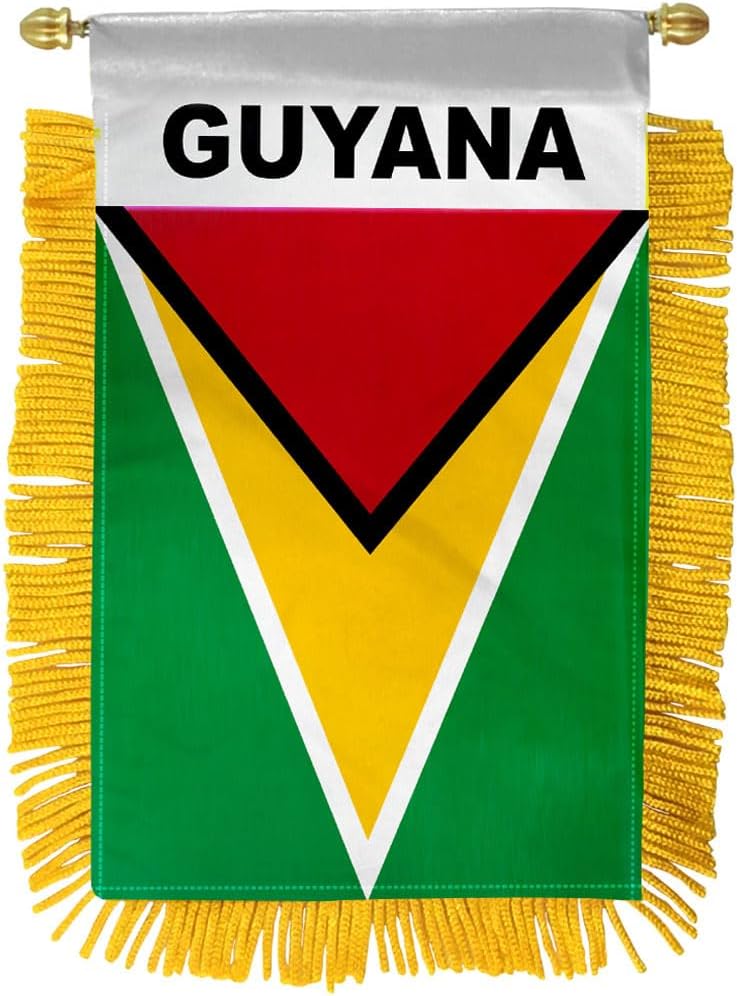 Amazon.com : Guyana Mini Banner - 1 dozen pack : Patio, Lawn & Garden