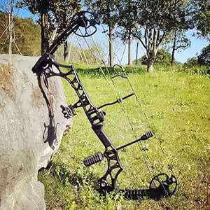Amazon.co.jp: JUNXING M129 コンパウンドボウ 競技サイド 全日本アーチェリー連盟競技規則適合品 : スポーツ＆アウトドア