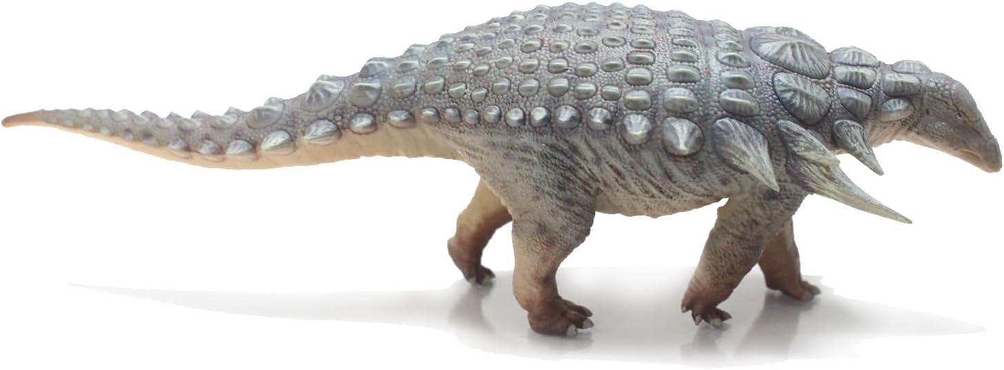 Amazon.com: HAOLONGGOOD Edmontonia (Jiezhen) : Industrial & Scientific