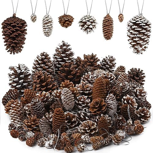 Amazon.com: Fovths 66 Pieces Christmas Pine Cones Ornaments with String Natural Rustic Pine ...