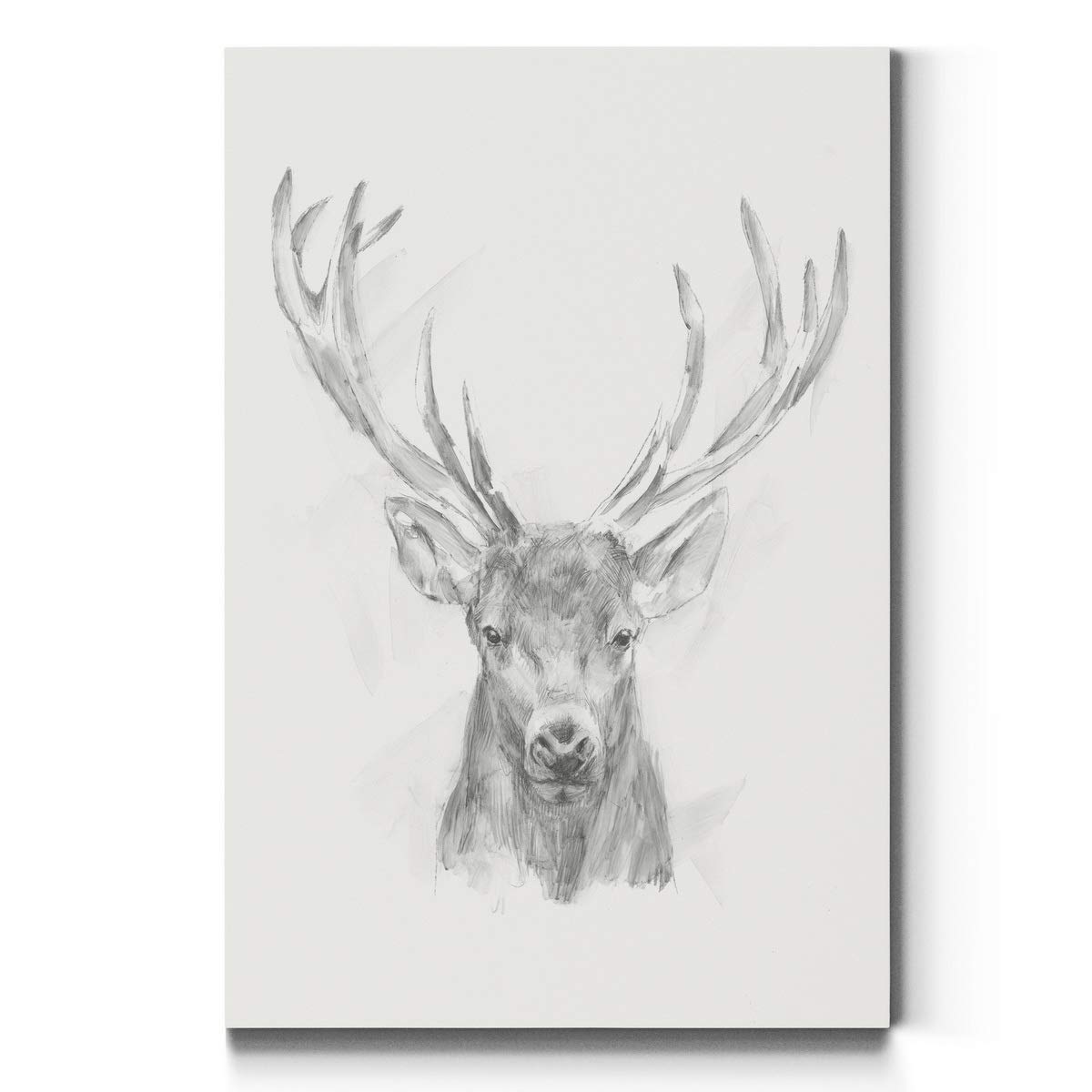 Pencil Drawings Of Elk Heads
