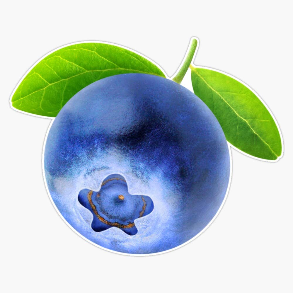 Amazon.com: Blueberry Sticker Vinyl Bumper Sticker Decal Waterproof 5 ...