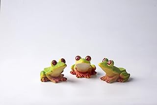 Exploring The Myth: Do Frogs And Toads Really Have Webbed Feet? | PetShun