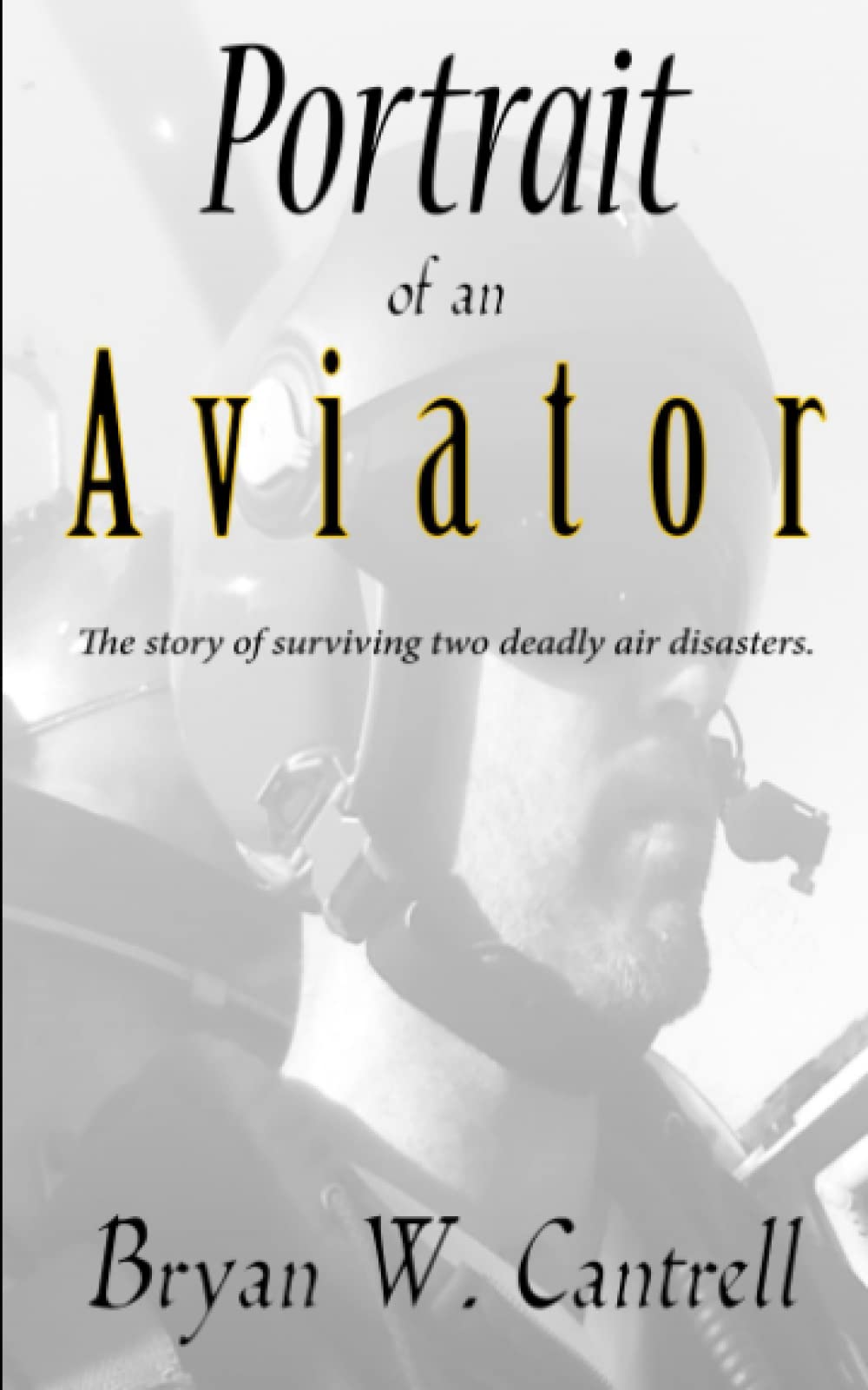 Amazon.com: Portrait of an Aviator: The story of surviving two deadly ...