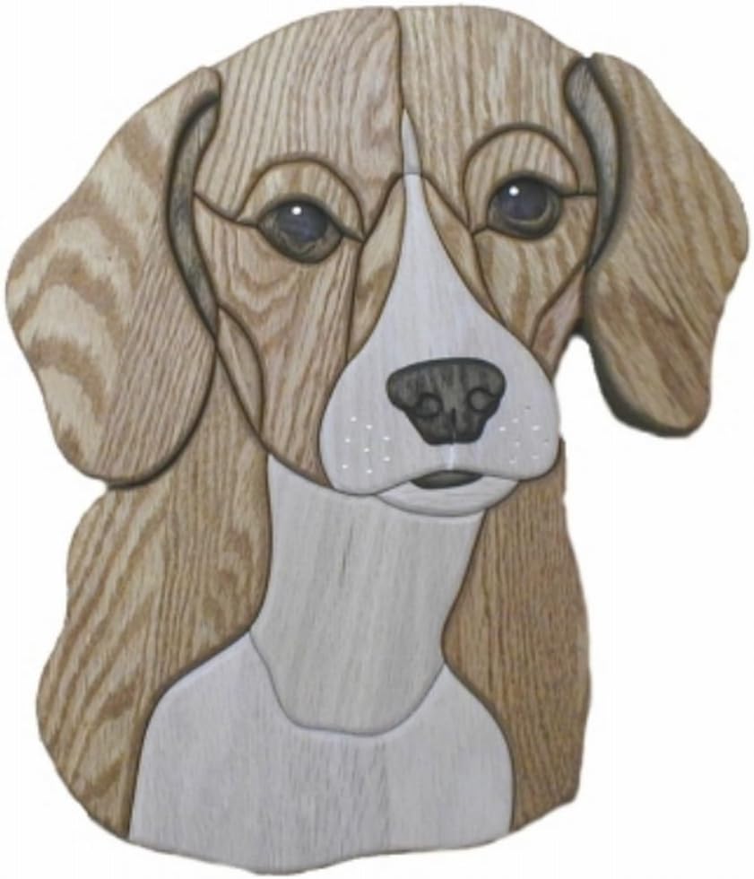 Amazon.com: Beagle Hand Carved Oak Wood Plaque 10 x 12 : Home & Kitchen