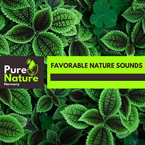 Favorable Nature Sounds by Nature Field Recordings, Nature Atmospheres ...