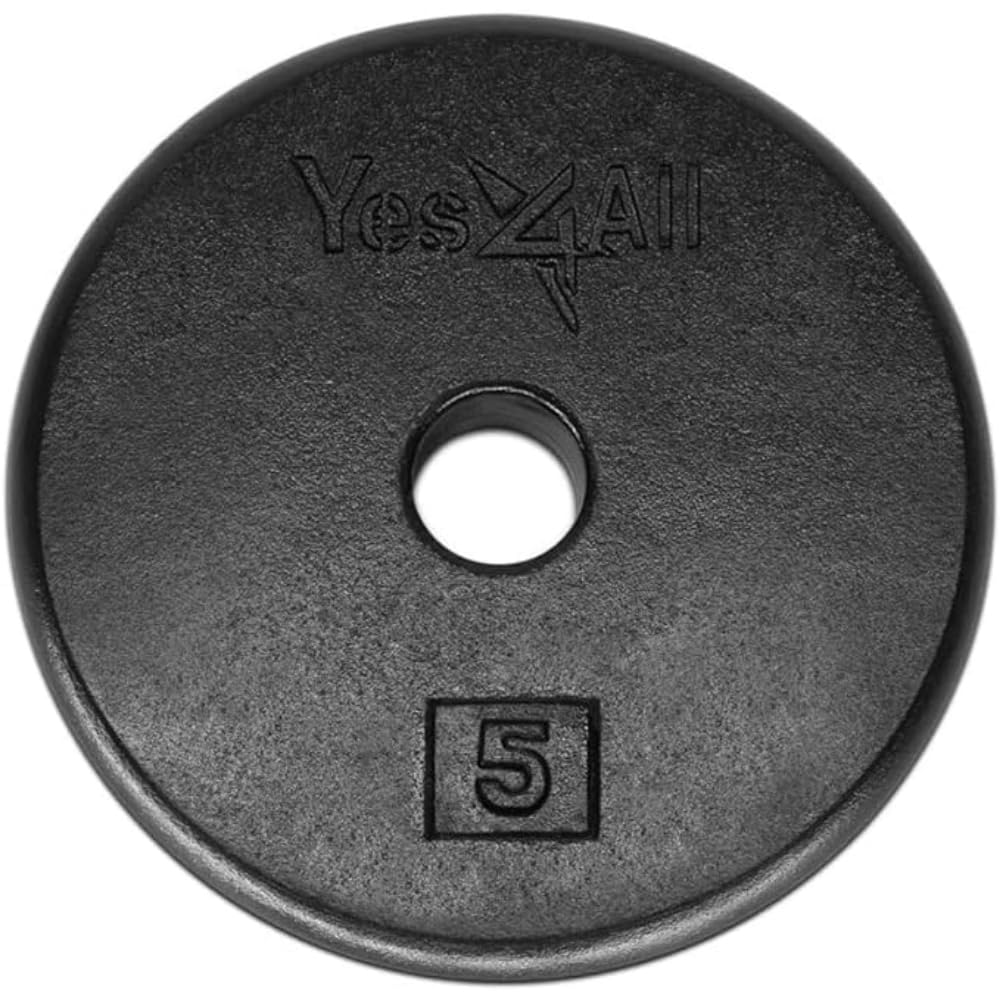 Buy Yes4All 1-inch Cast Iron Weight Plates for Dumbbells – Standard ...