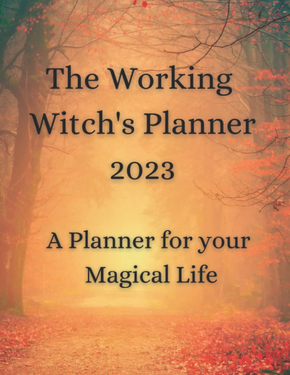 The Working Witch's Planner 2023: A Planner for Your Magical Life ...