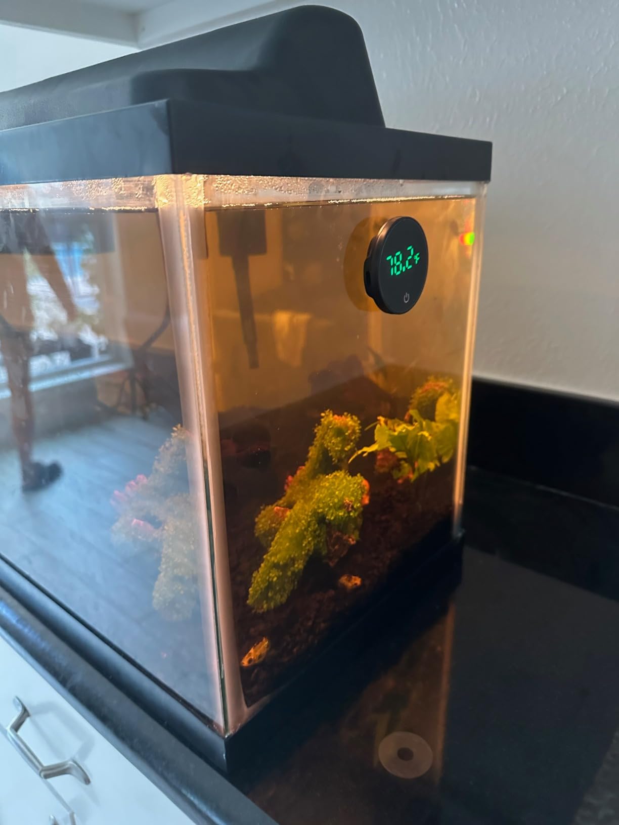 $2/mo - Finance DaToo Aquarium Thermometer Rechargeable Digital LED ...