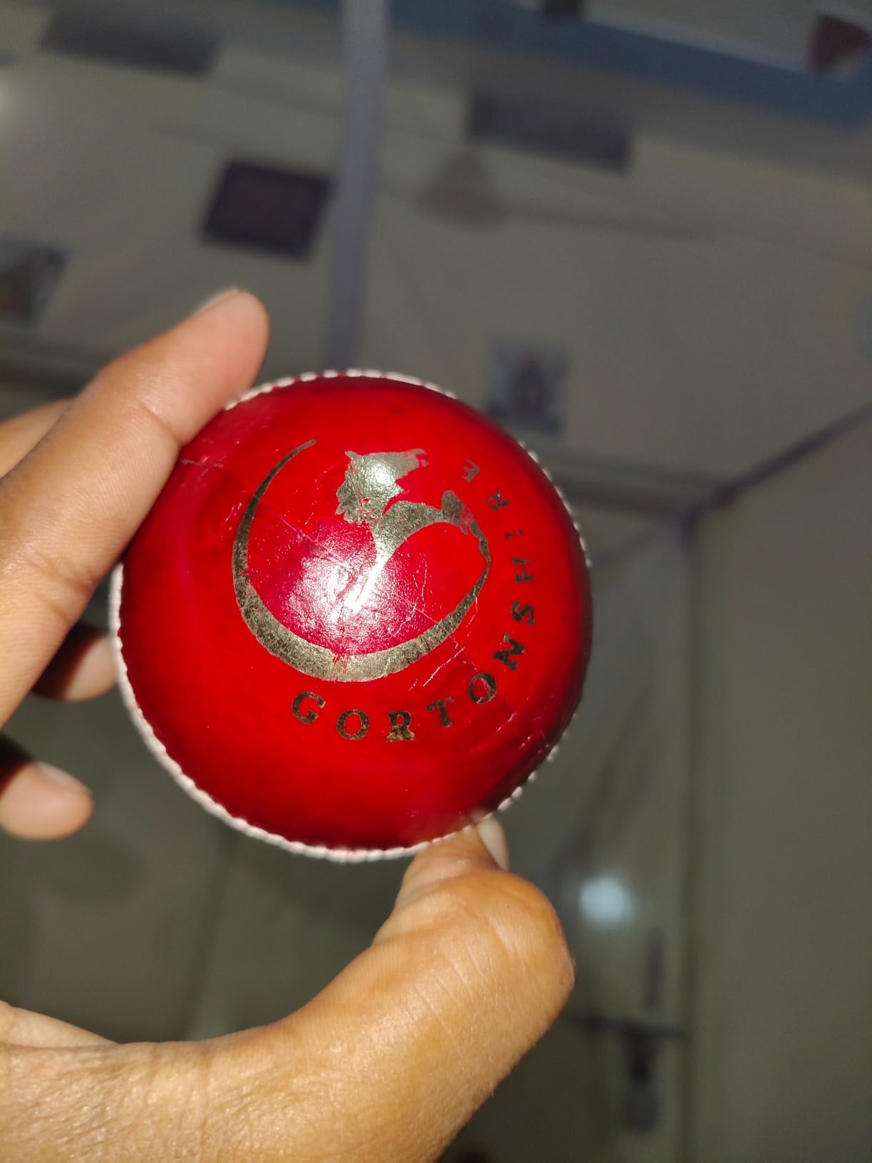 Gortonshire Leather Heavy Cricket Ball 250-300 Grams, Red : Amazon.in ...