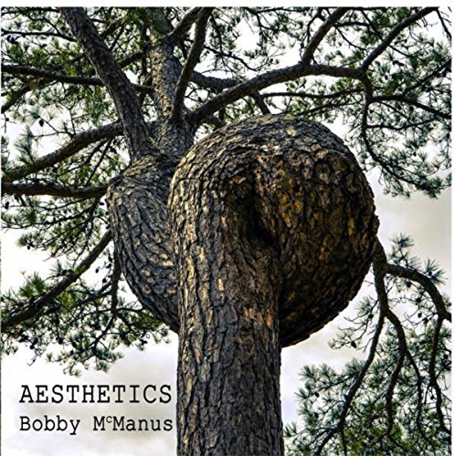Amazon.com: Aesthetics ((first edition)) : Bobby McManus: Digital Music