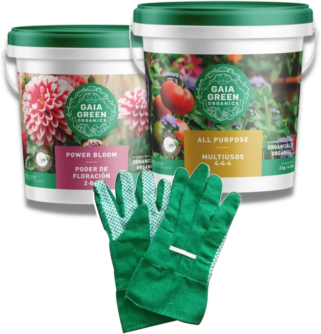 Amazon.com : Real Growers 24oz Grow Dots + 8oz Recharge : Patio, Lawn ...