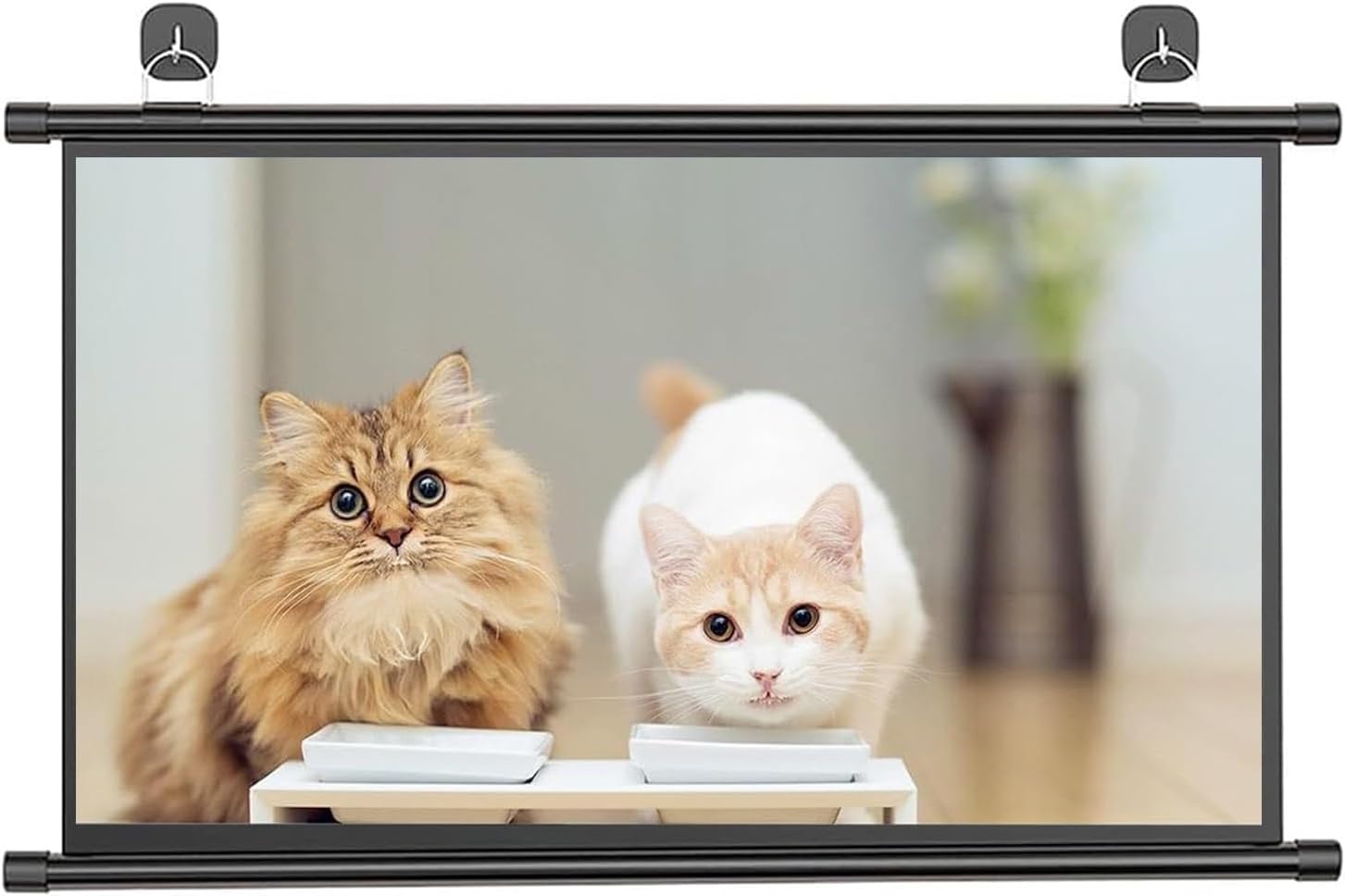 Amazon.com: Projector Screen 4:3/16:9, Portable Projection Screen 30 ...