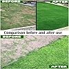 Amazon.com : Grass Seed Mat Roll - Biodegradable Lawn Seed Mat ...