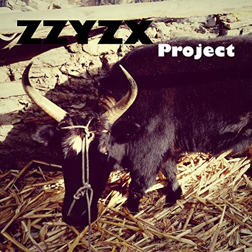 Amazon Music - ZZYZX ProjectのZZYZX Project EP 2 - Amazon.co.jp