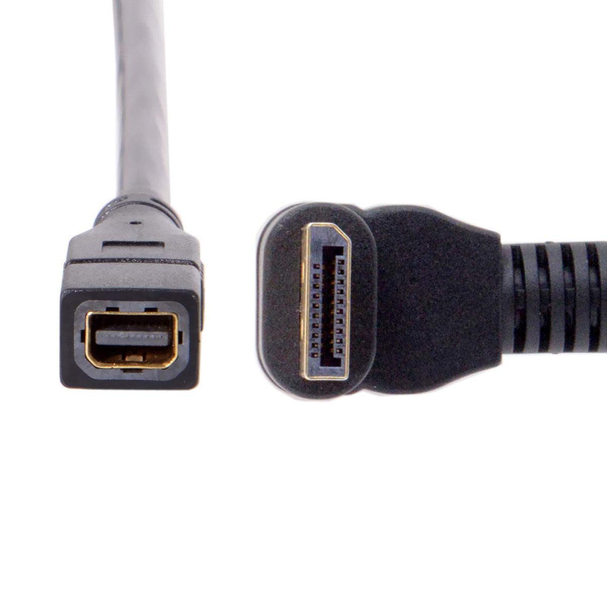Amazon.com: chenyang DisplayPort to Mini DisplayPort Cable Mini DP ...