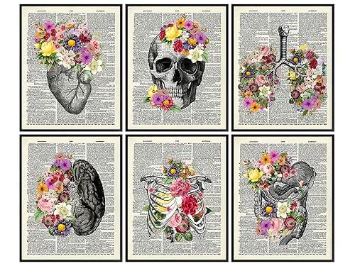 Amazon.com: Vintage Human anatomy Poster Set LARGE 11x14 - Floral Wall ...