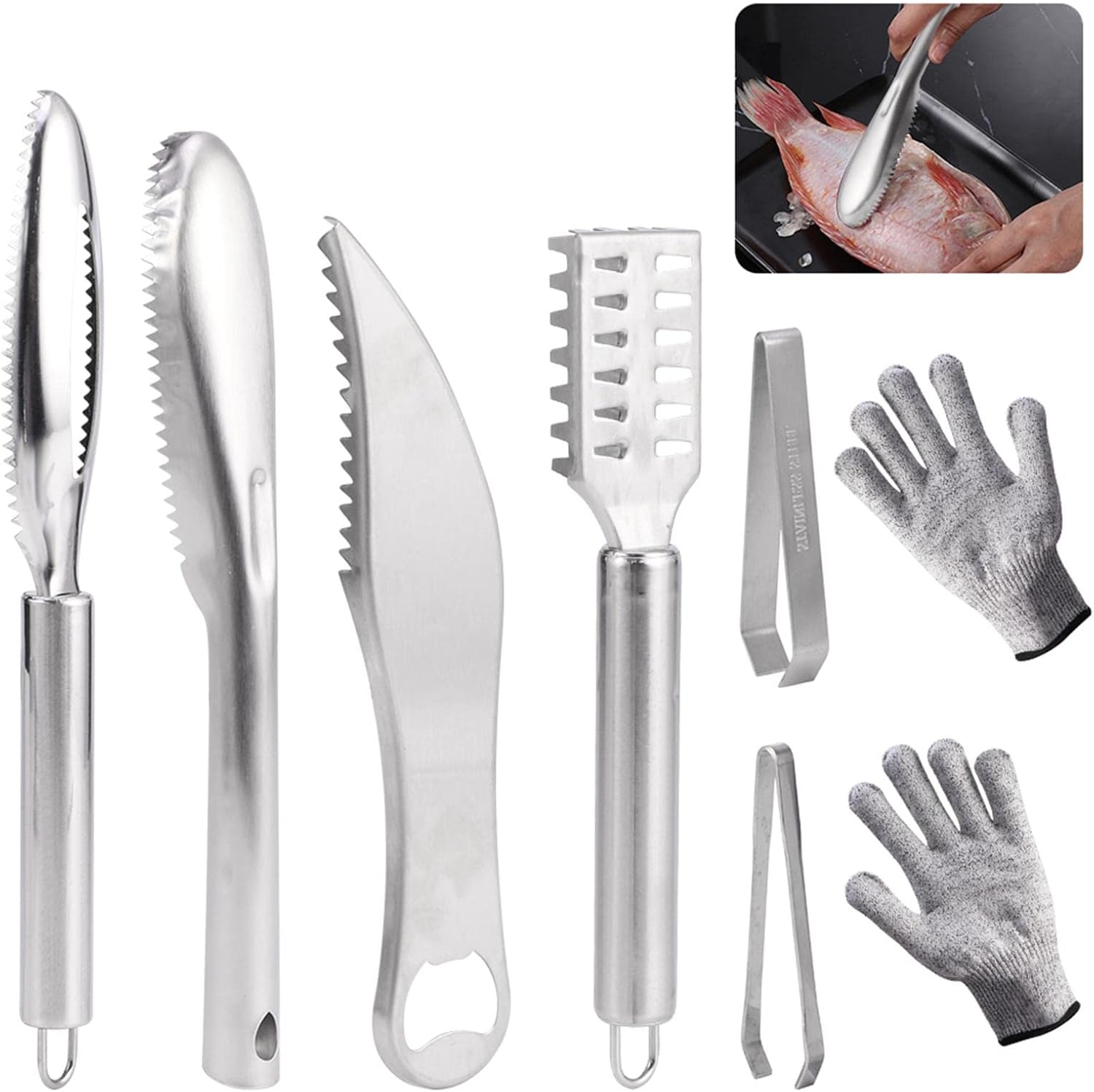 Amazon.com: 8pcs Fish Scaler Remover Fish Cleaning Scales Kit, Stainless Steel Fish Scaler ...