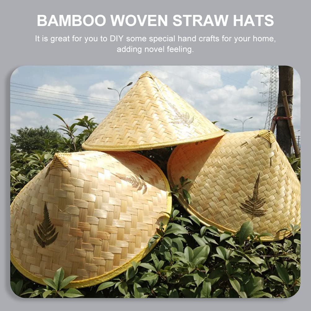 Rice Paddy Hat Portrait Of A Woman Working In The Rice Fields Of