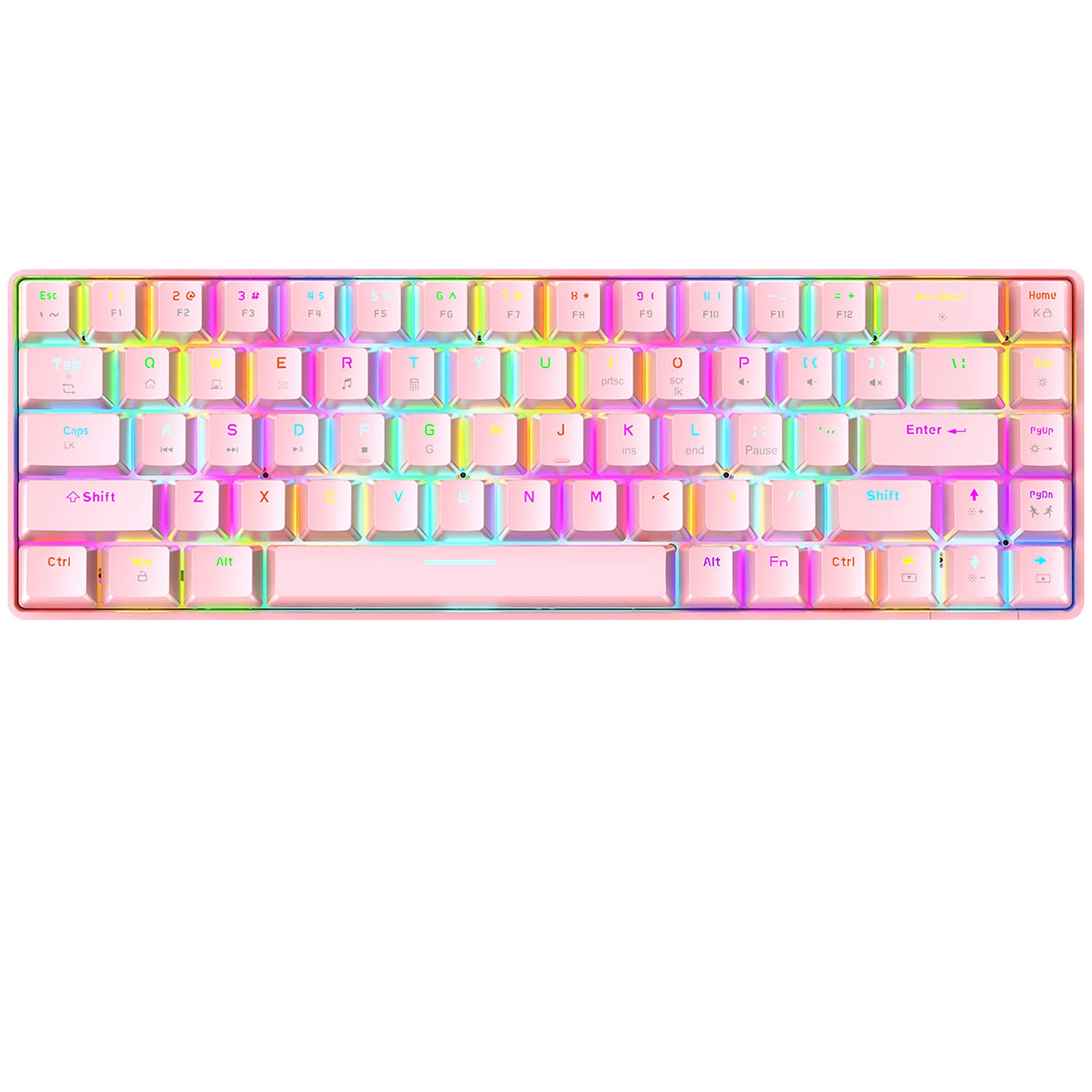 Buy T8 RGB Gaming Keyboard 60% | Clicky Optical Blue Switches | Mini 60 ...