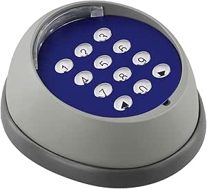Amazon.com: Battery Powered Zinc Alloy Keypad for Gate Opener ...