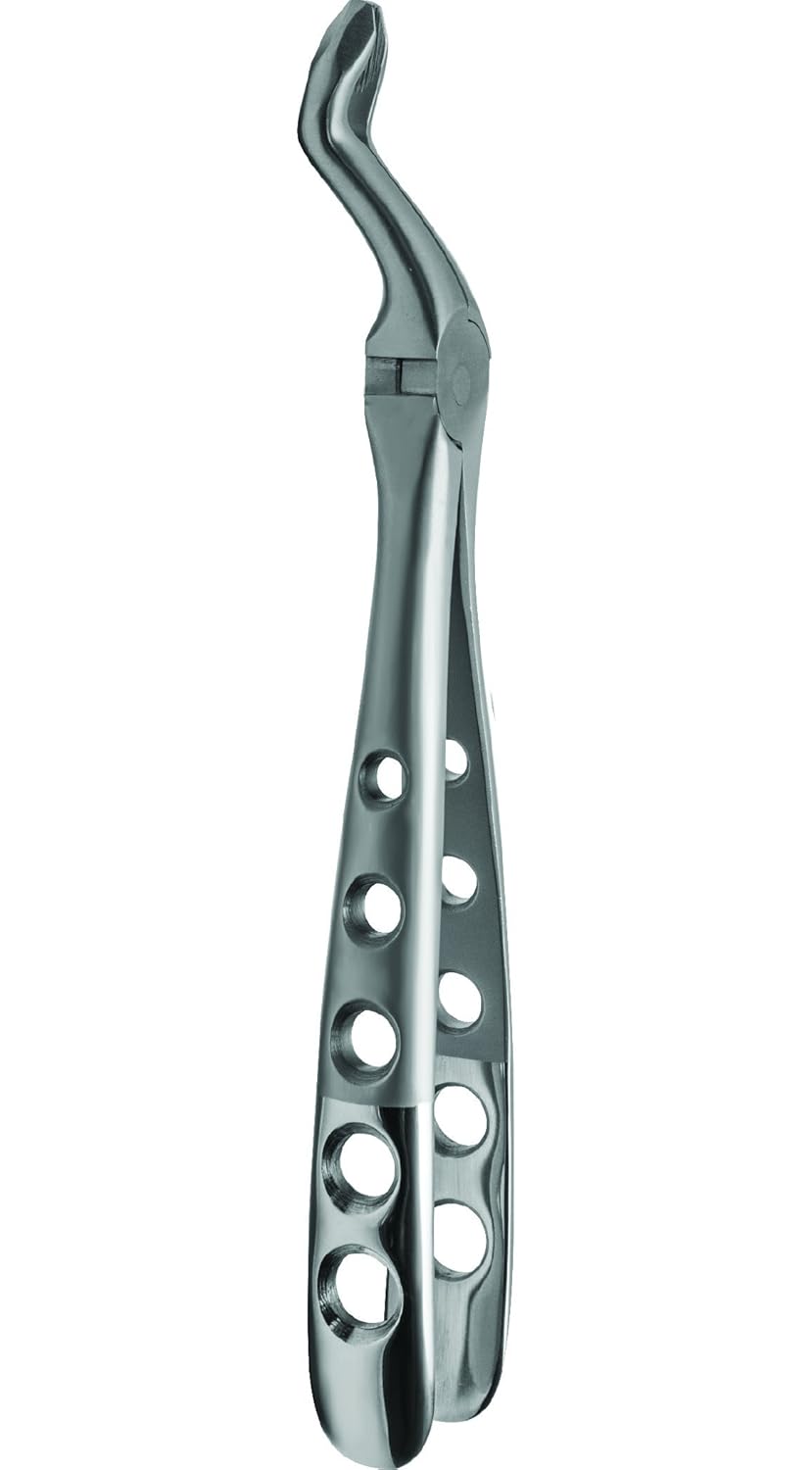 Amazon.com: A. Titan 210+ Upper Molar Plus + Series Forceps ...