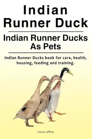 Indian Runner Duck. Indian Runner Ducks As Pets. Indian Runner Ducks ...