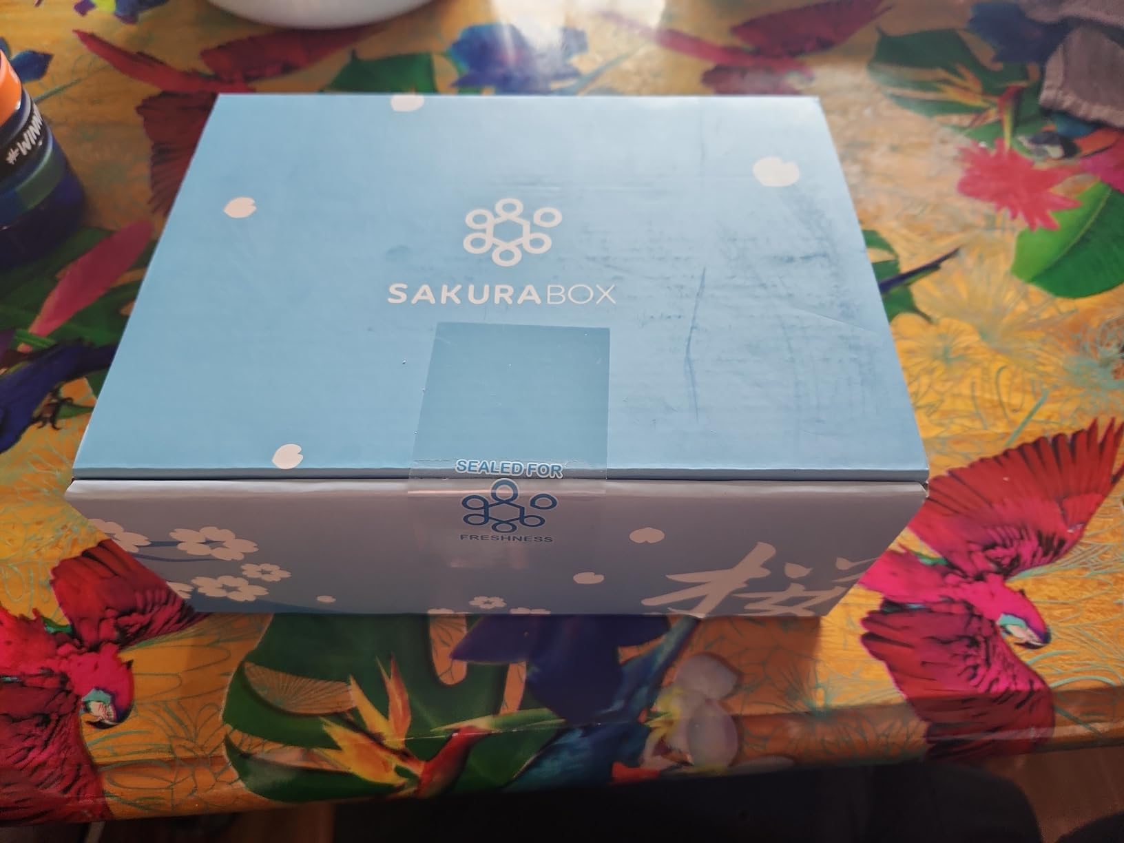 Sakura Box Japanese Snacks & Candy 40 Piece Dagashi Food Set : Amazon ...